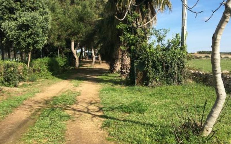 L'Alba di Monte Matino - Otranto Lecce Puglia | Camperlife